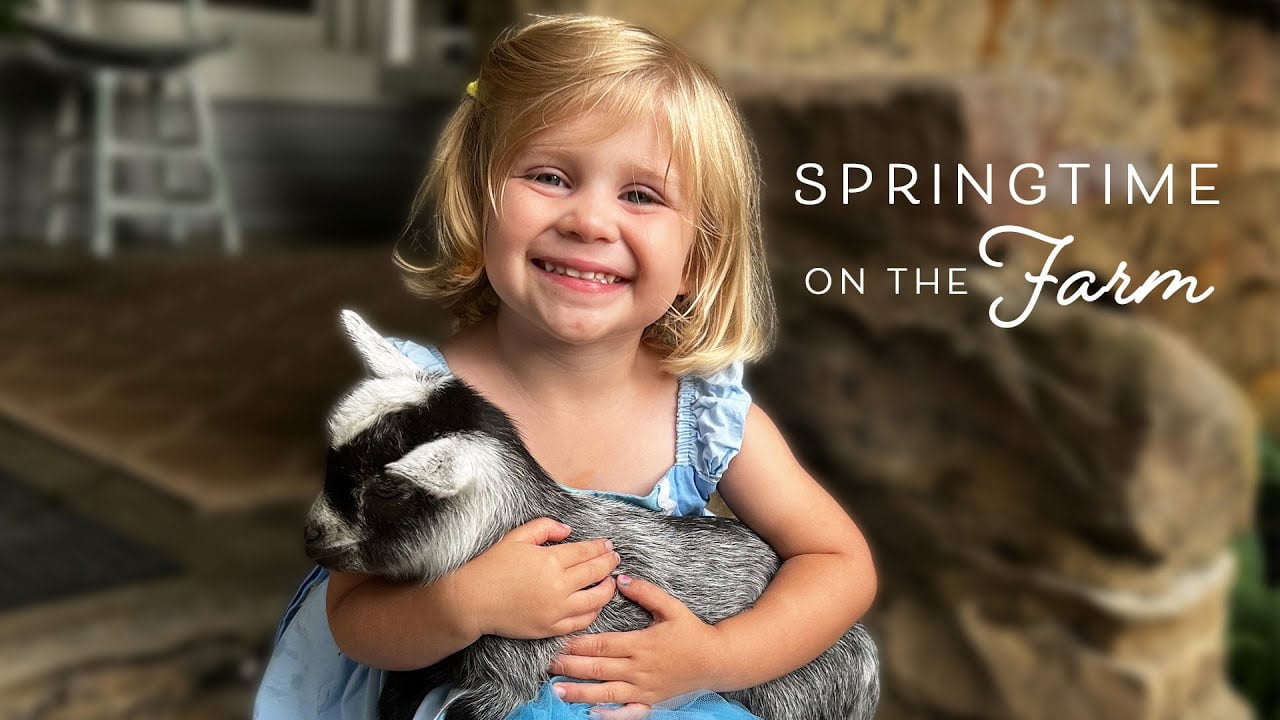 Springtime on the FARM + moving with animals - Chad & Erin